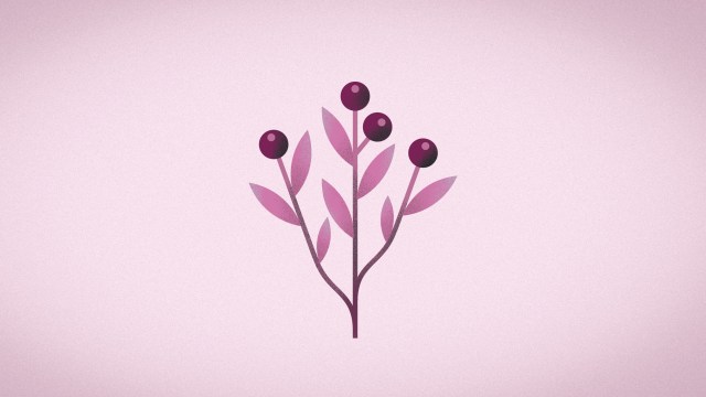 La profecía de un gobernante perfecto - Christianity Today en español ...